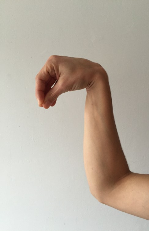 Hand Shapes – Terra Prime Fighting Words