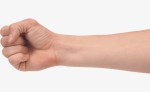Hand Shapes – Terra Prime Fighting Words