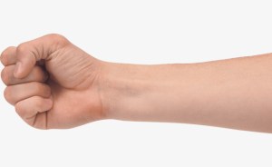 Hand Shapes – Terra Prime Fighting Words